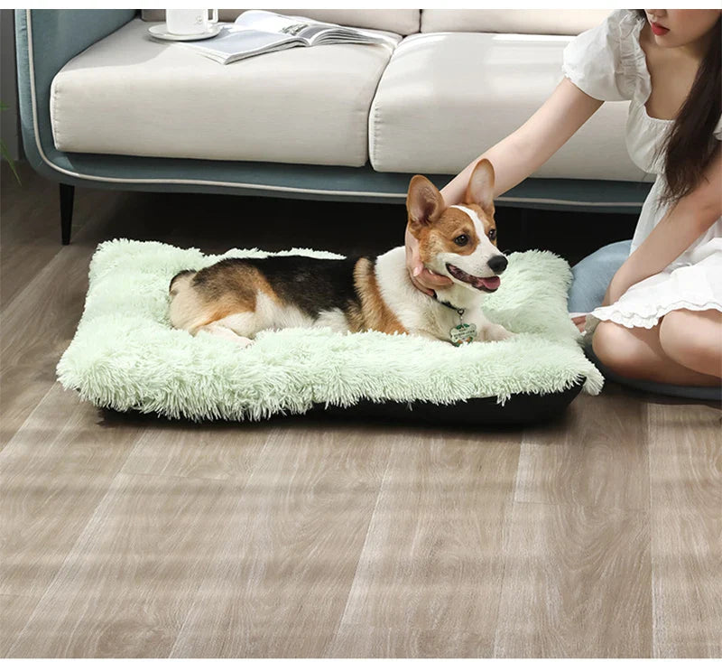 Soft Paw Mat – Aussie Pet